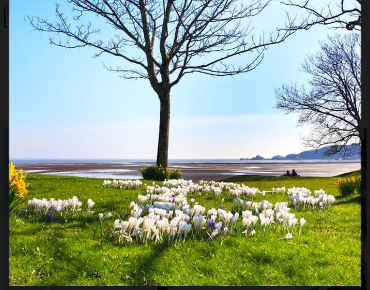 Mumbles Getaway - The Mumbles