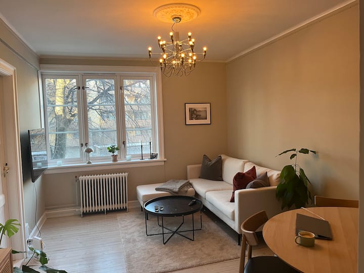 Sentral Og Fin Leilighet - Oslo