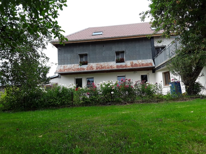 Le Gite Des Saules - Morteau