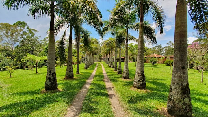 Sítio Com Piscina Localizado Na Ilha Do Bororé - São Paulo