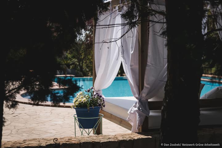 Big Family Apartment In Boutique Hotel - Majorca