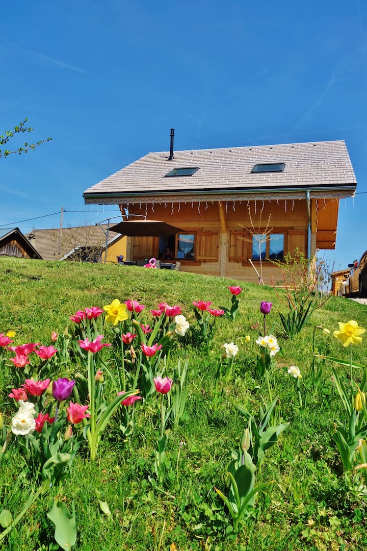 Chalet Traditionnel Haute-savoie - Évian-les-Bains