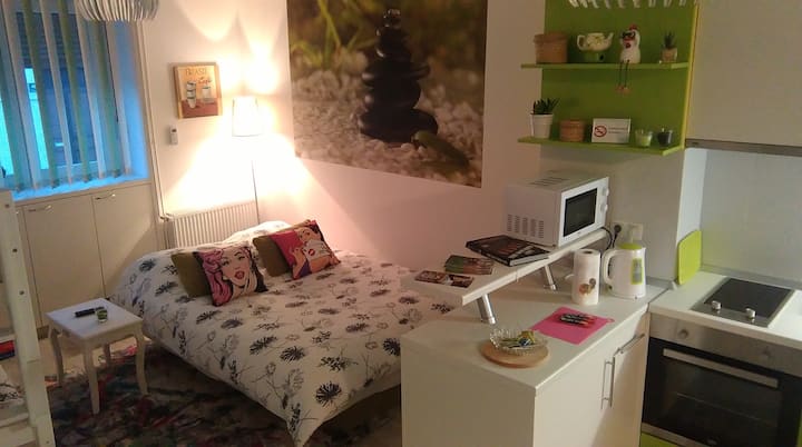 Studio Apartman Stari Grad Free Parking - Sarajevo