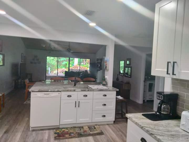 Cheerful Sea Woods Two Bedroom Beach Side House. - New Smyrna Beach, FL