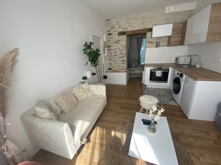 Charmant Studio Avec Chambre à Nantes Centre/gare - Nantes
