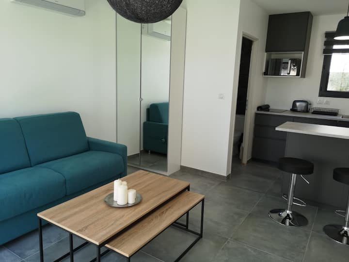 Studio à Louer Près Des Plages Et Du Centre Ville - Sausset-les-Pins