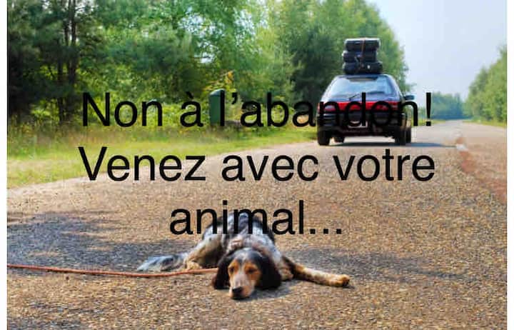 Pornic 350 M De La Plage,100m², Non Fumeur - Pornic