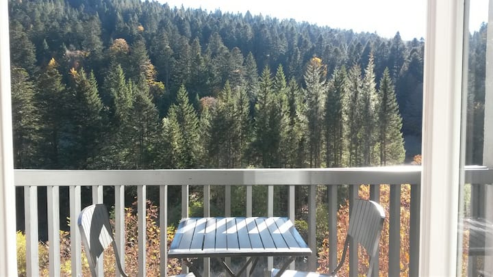 Le Lioran, Studio 4 Pers Avec Balcon, Face Pistes - Le Lioran (Super Lioran)