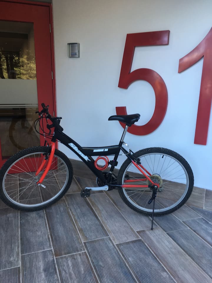 Acogedor Estudio Sobre El Río Calle - Calle - Valdivia