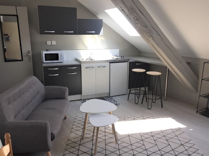 Studio Fonctionnel, Proche Techn'hom, Iut Et Utbm - Belfort