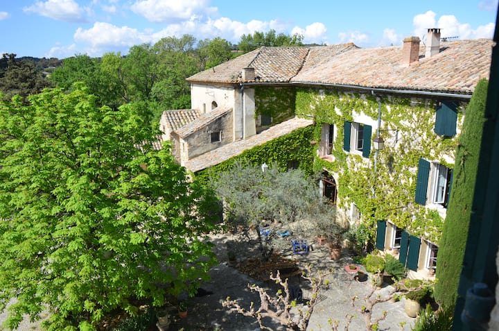 Proximité Chateauneuf Du Pape, Orange Et Avignon - Châteauneuf-du-Pape