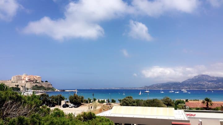 Appartement Vue Mer - Calvi On The Rocks