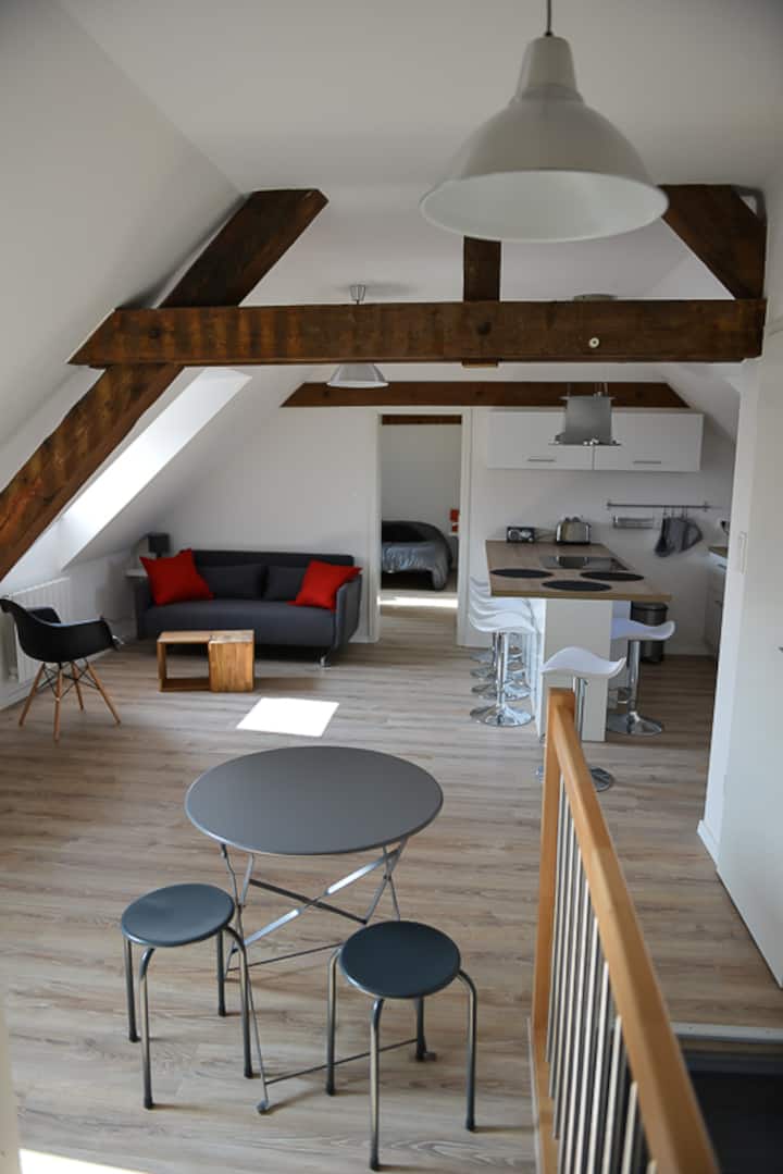 Appartement De Caractère à Colmar - Colmar
