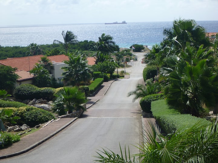 Royal Palm Ocean View - Curazao