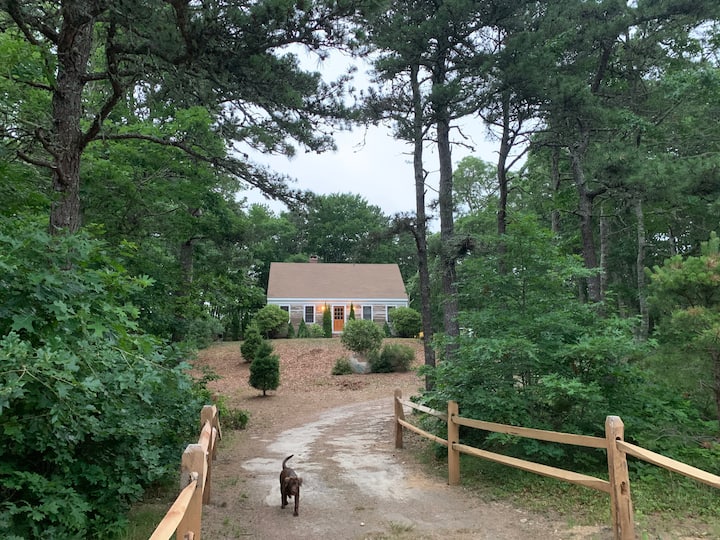 Rustic 4br Cabin Bordering Nickerson State Park - Brewster, MA