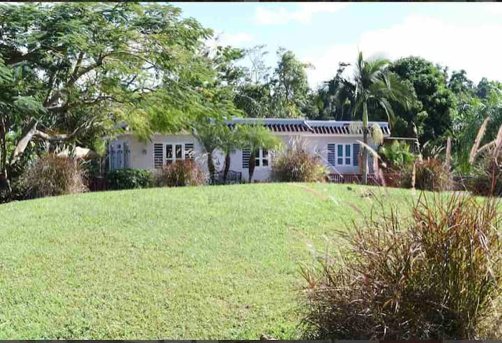 Unforgettable Family Moments Villa Sleeps Up To 18 - Aguadilla