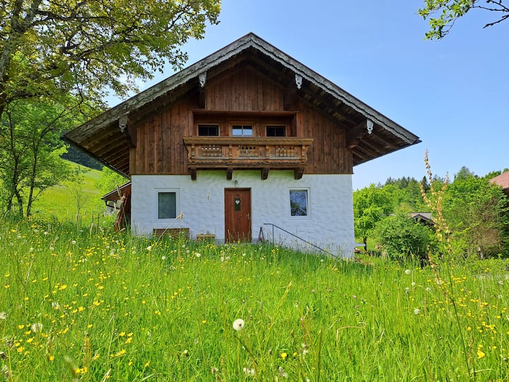 Ferienhäuschen Hinterwald 8 - Wolfgangsee
