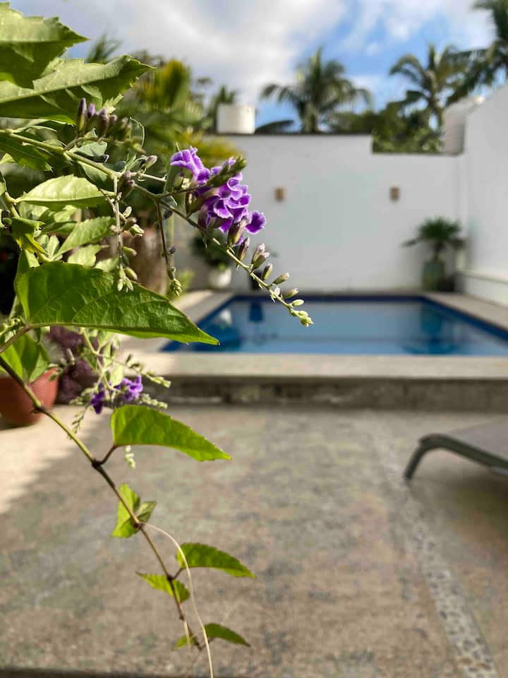 Casa Bella Ola ~ Amazing Heated Pool ~ Lush Garden - Lo de Marcos