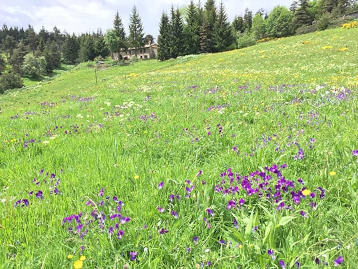 Chambres D'hôtes Sources Et Nature! - Coucouron
