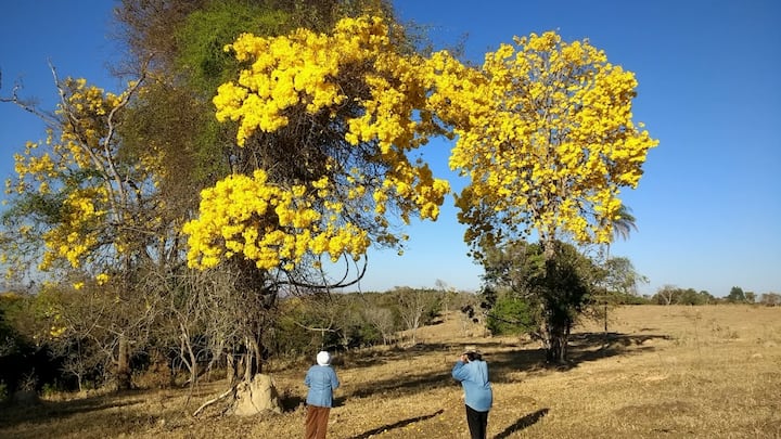 Fazenda S. Benedito - Lugar De Descanso E Sossego. - Araxá
