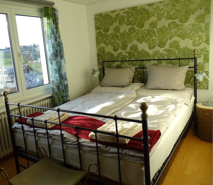 Bright Room With Kitchen+bathroom - Thun
