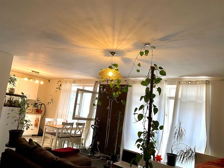 Sehr Ruhige Ud Schöne Wohnung Im Herzen Von Weimar - Weimar