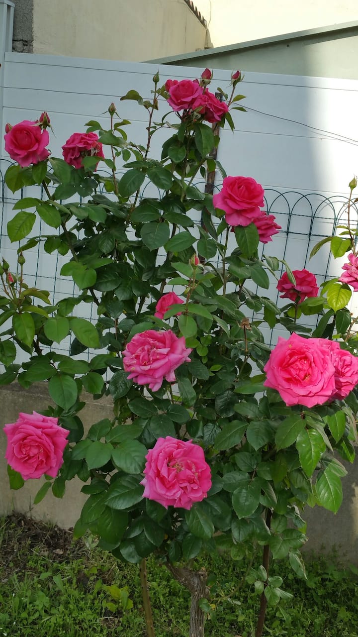 Bas De Maison - Vitrolles