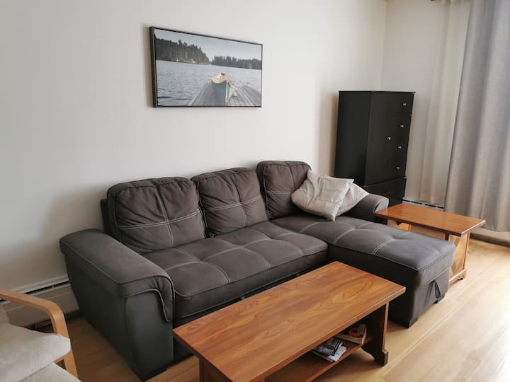 Appartement Au Centre-ville De Shawinigan - Shawinigan