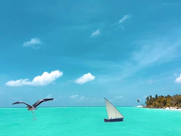 Sunburn In A Crystal Clear Water & White  Beaches - Maldives
