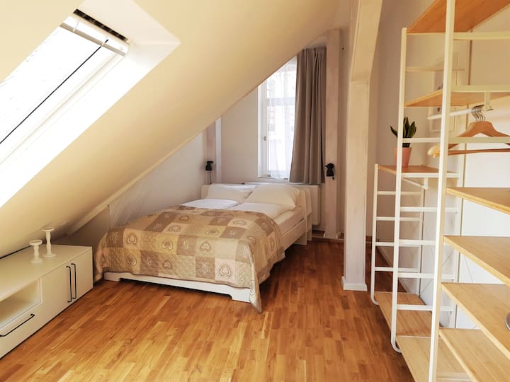 Attic Apartment With 2 Rooms Annex - Marburg