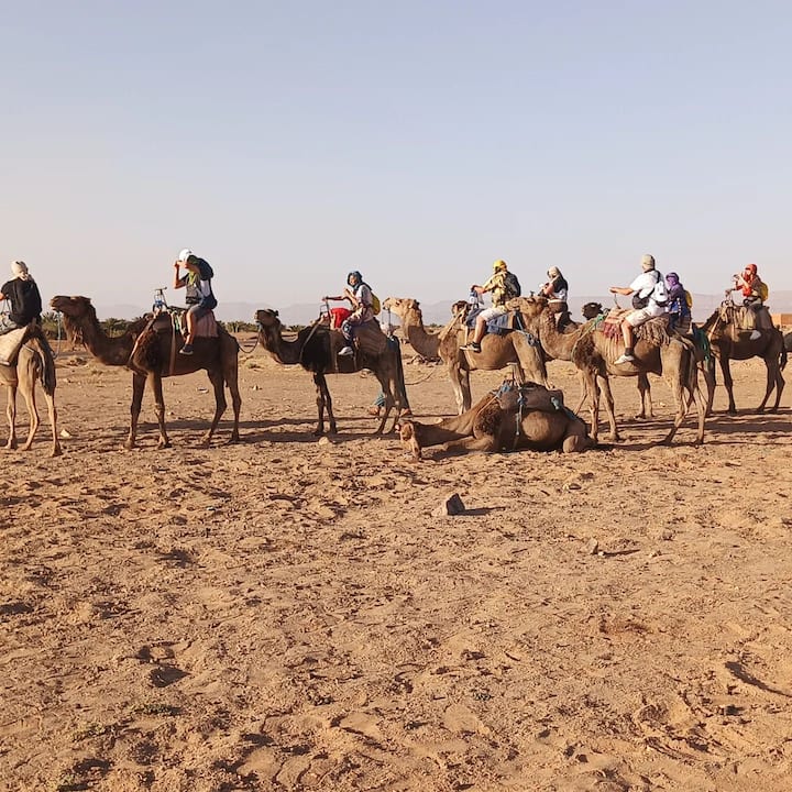 Moments In Tents - Marrakech