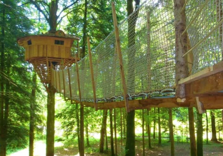 Cabane Dans Les Arbres, La Fauconnière - Champagnole