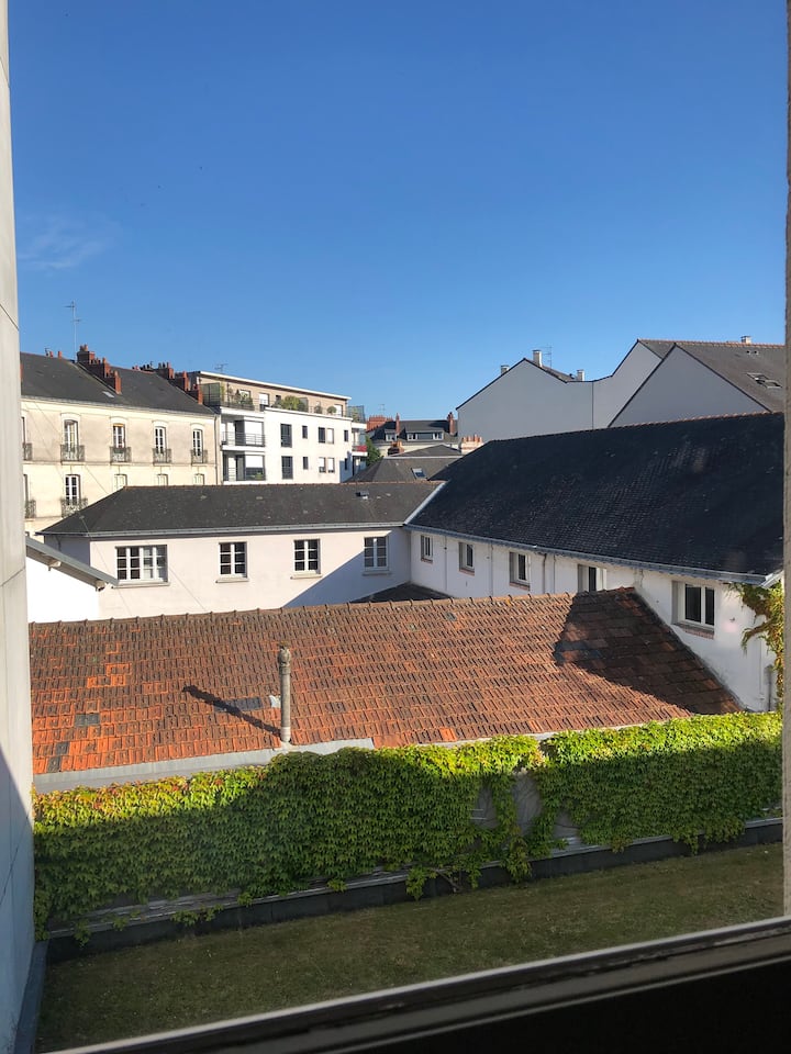 Studio Meublé Cité Des Congrès - Château - Nantes