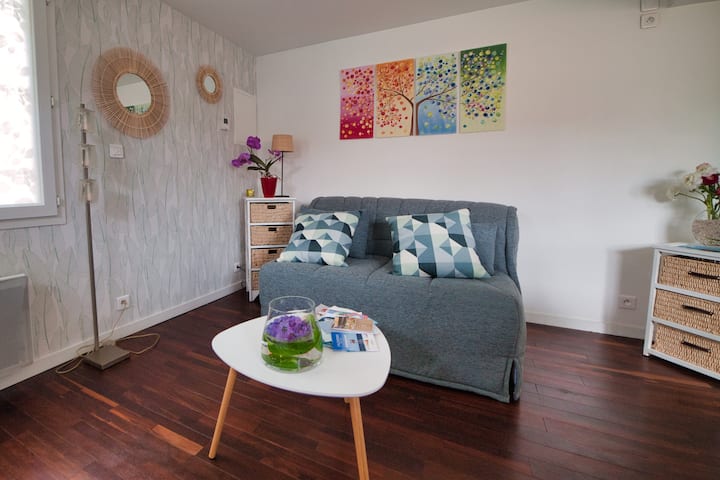 Studio Douillet, Au Calme, Parking Gratuit. - Anglet