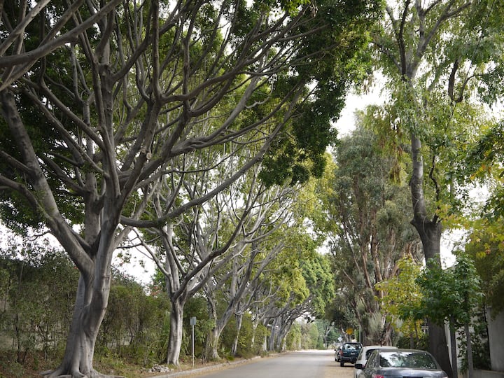 Family Friendly Home With 2 Bedrooms In Brentwood! - Los Ángeles, CA