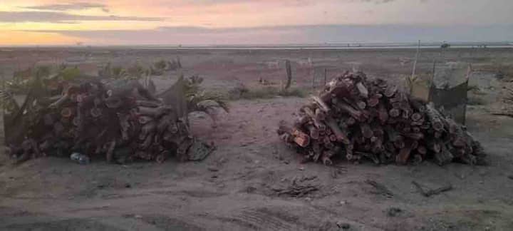 Unique Shack In Front Of The Beach. - Negritos