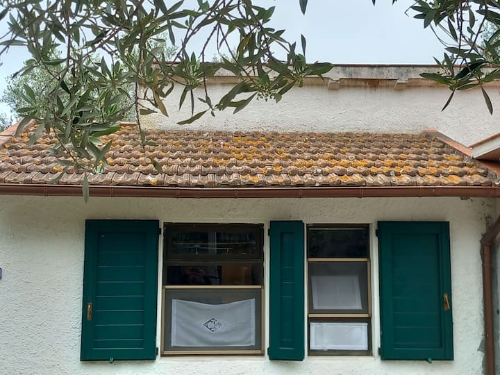 Habitat Casa Degli Ulivi - Marina di Campo
