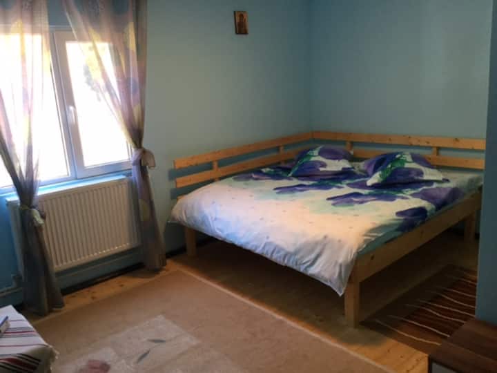 Casa Albac-apuseni Mountains-private Room 1 - Albac