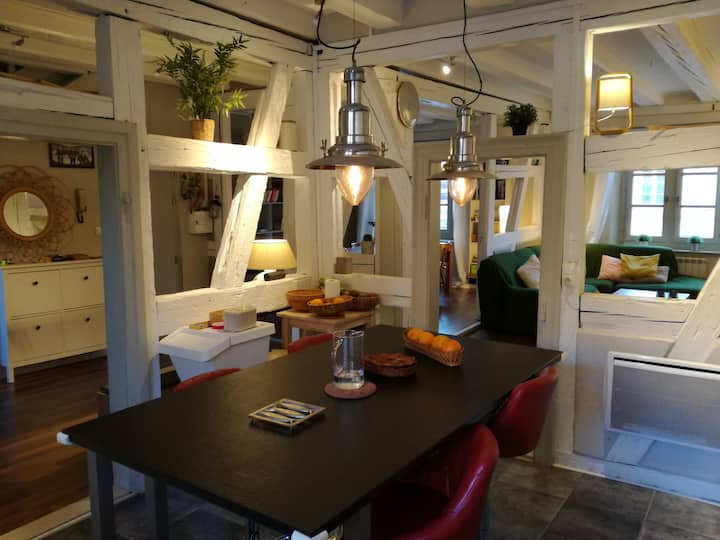 Colmar Centre, Grand Appartement Familial Typique - Colmar