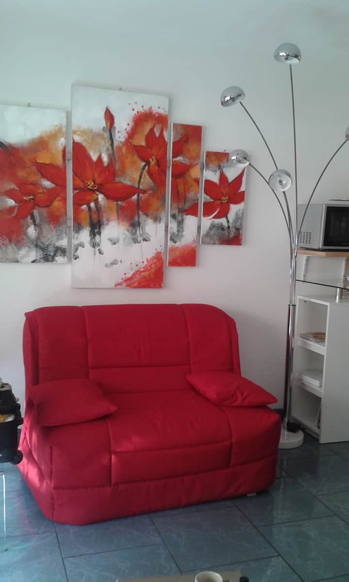 Chambre Partagée Proche Croisette Cannes - Cannes