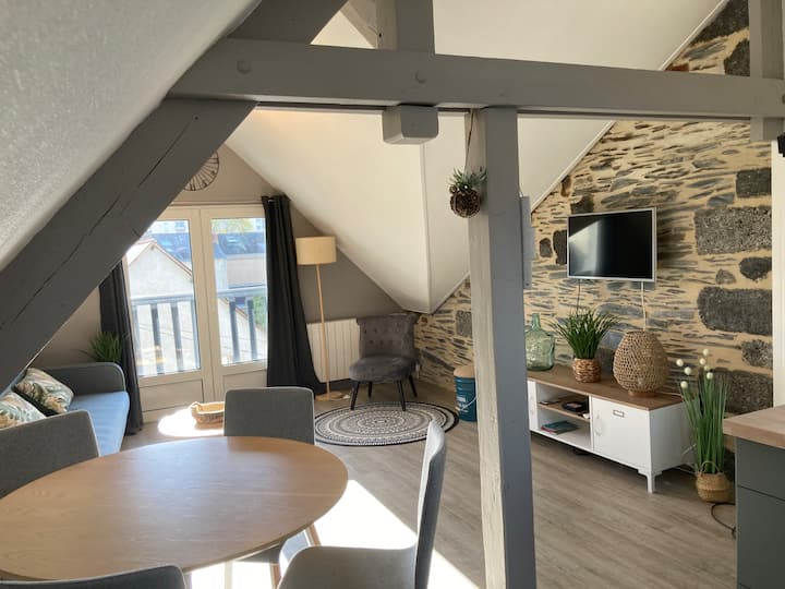 Appartement Charmant - Angers