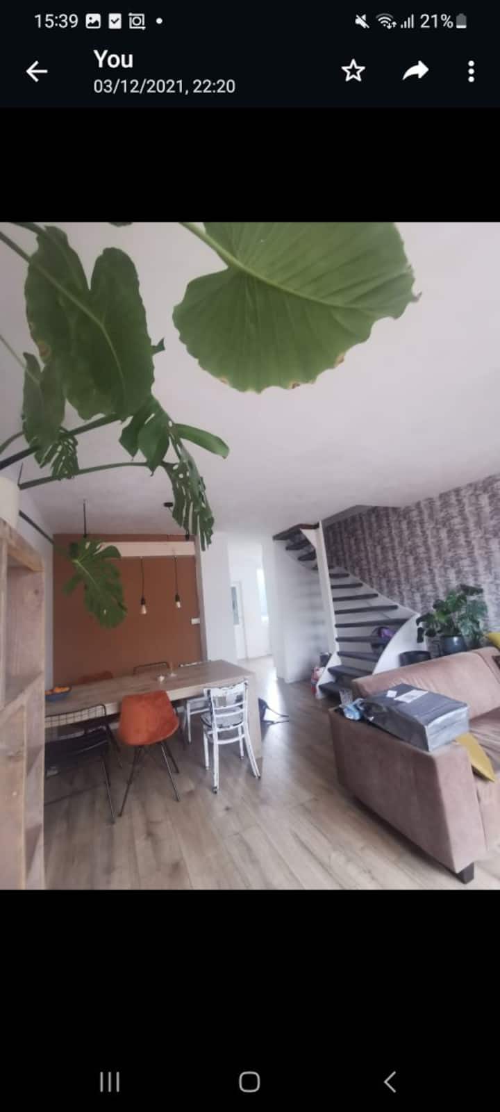 2 Bedrooms With Kitchen&garden - Nijmegen
