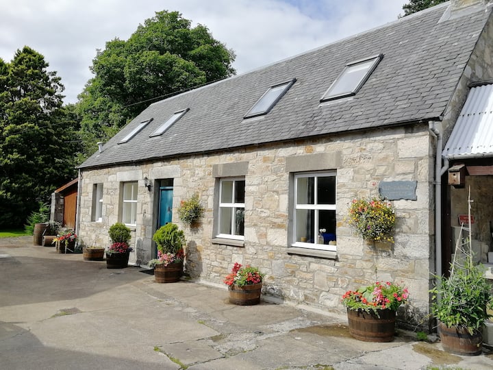 Cosy Detached Cottage Central Pitlochry-adultsonly - Blair Atholl