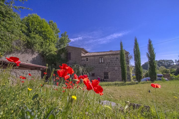 B&b Il Vecchio Ulivo - Cam.leccino - Bolsena