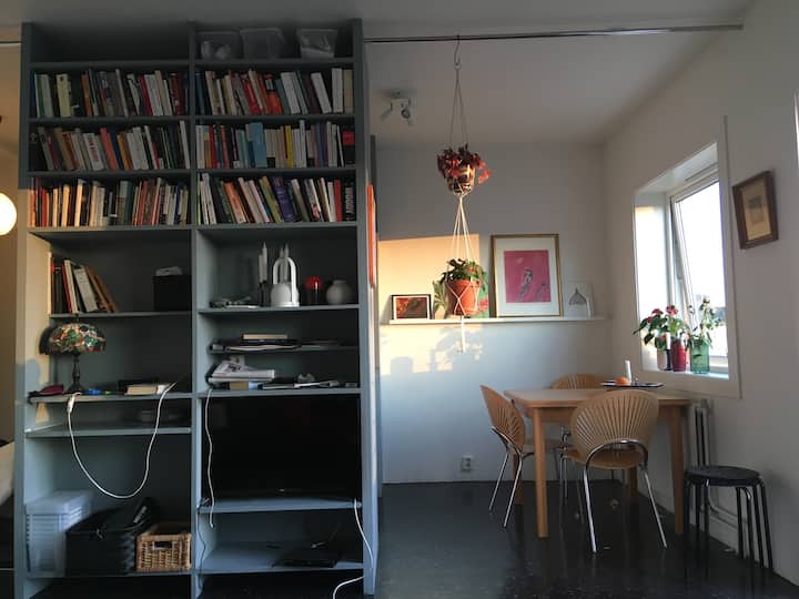 Oslos Best View: Top Floor, Central & Quiet Studio - Oslo