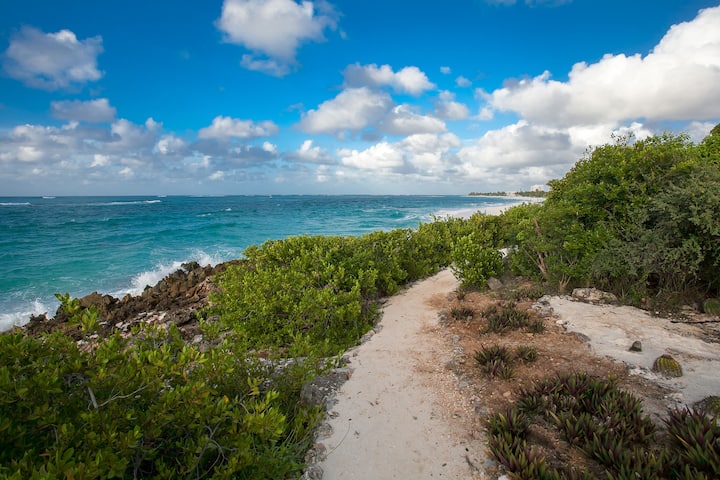 4 Bedroom/ 4 Bath- Sleeps 12 Pool View Condo Combo - Anguilla