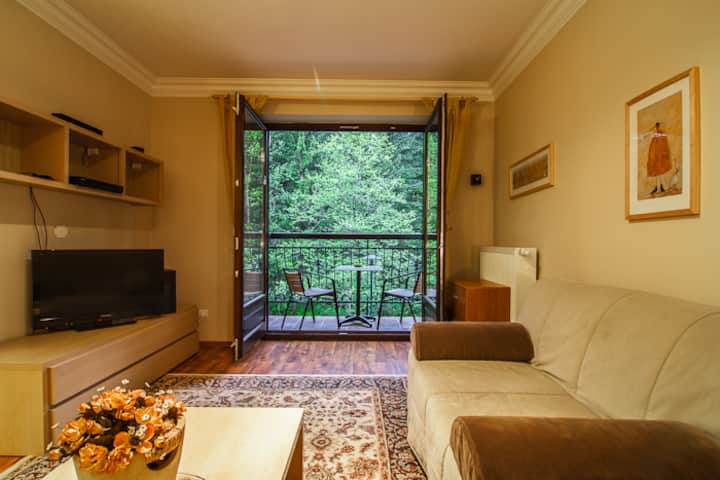 Apartament Bulwary 18 Zakopane - Zakopane