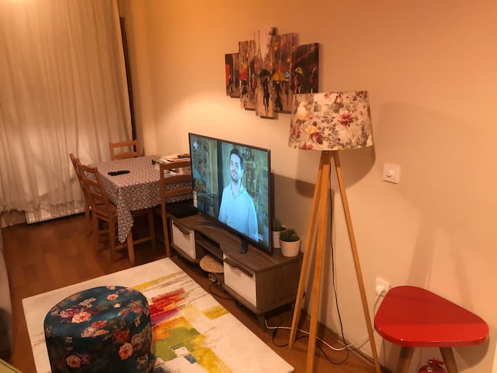 1 + 1 Apartment On Beyoğlu İStiklal Street - İstanbul