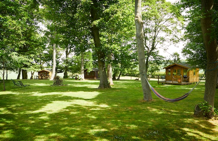 Elm - Woodland Cabin - Filey