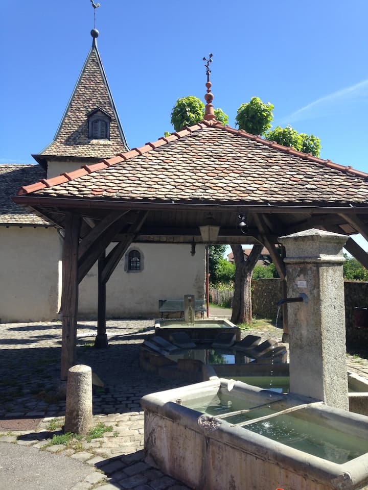 Studio Dans Le Hameau De Concise à Thonon - Thonon-les-Bains